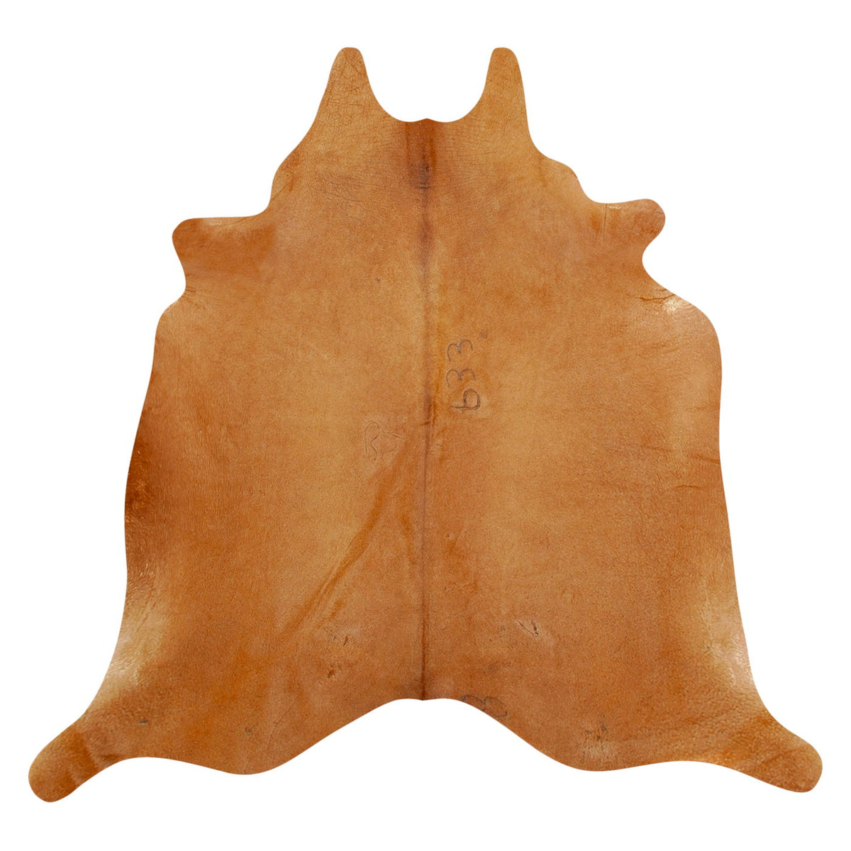 Natural Argentine Cowhide 6 3 X 6 1 Buy On ICowhide natural-argentine-cowhide-6-3-x-6-1-buy-on-icowhide