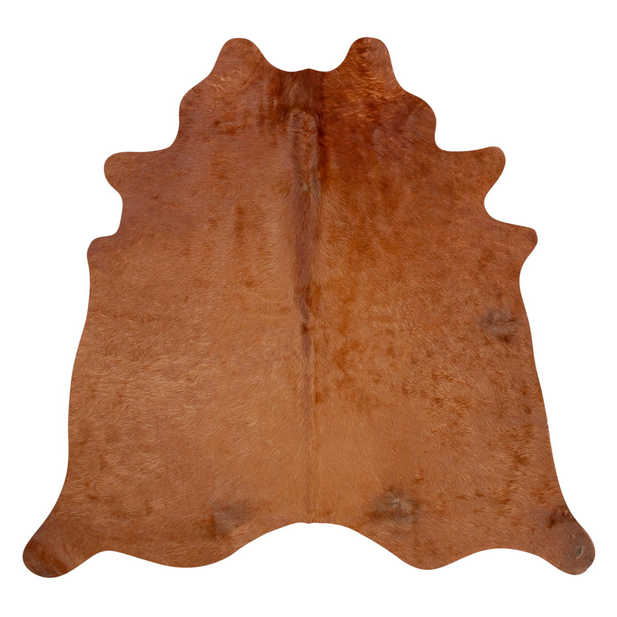 Natural Argentine Cowhide 5' 1" x 5' 3" - Buy on iCowhide
